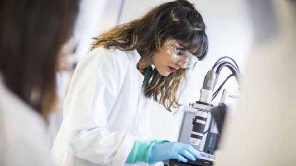 A higher standard of education | British Council